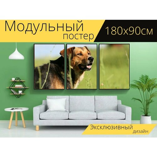 Модульный постер "Собака, морда, голова" 180 x 90 см. для интерьера