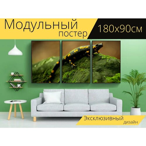 Модульный постер "Саламандра, осень, природа" 180 x 90 см. для интерьера