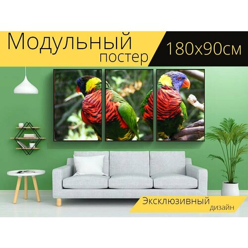 Модульный постер "Птицы, попугаи, попугаев" 180 x 90 см. для интерьера