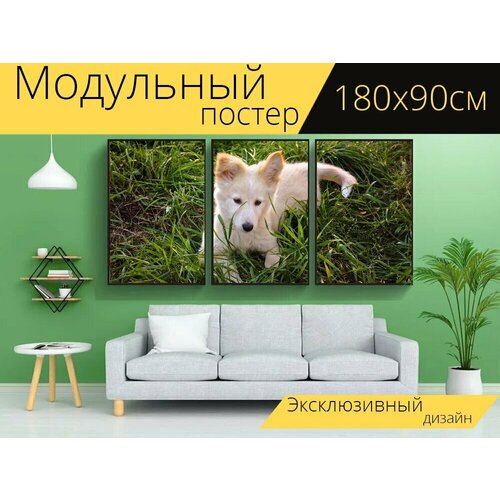 Модульный постер "Собака, щенок, трава" 180 x 90 см. для интерьера