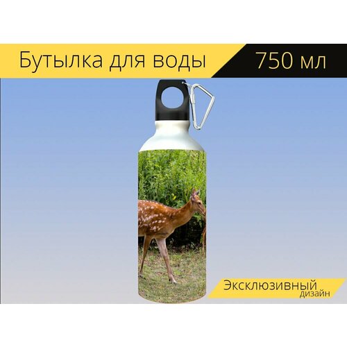 Бутылка фляга для воды "Животные, олень, дикий" 750 мл. с карабином и принтом