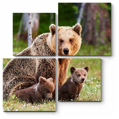 Модульная картина Семья очаровательных медведей 160x160