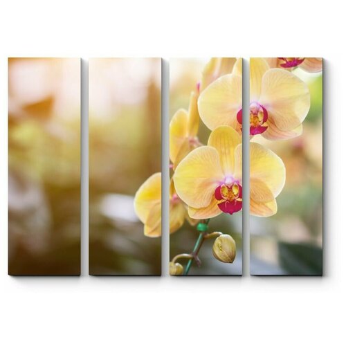 Модульная картина Чарующая орхидея 120x90