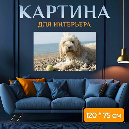 Картина на холсте "Пляж, собака, вода" на подрамнике 120х75 см. для интерьера