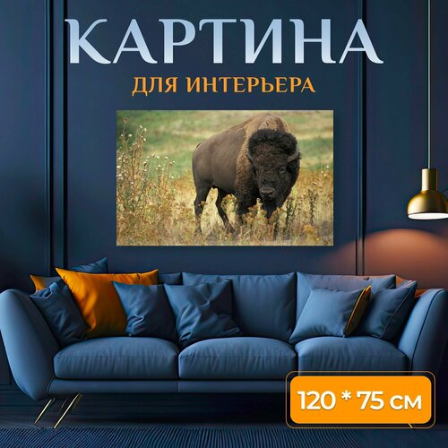 Картина на холсте "Зубр, буйвол, говядина" на подрамнике 120х75 см. для интерьера