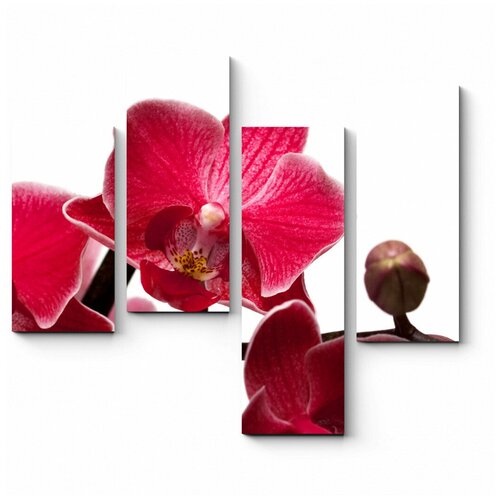 Модульная картина Магия орхидей 104x98