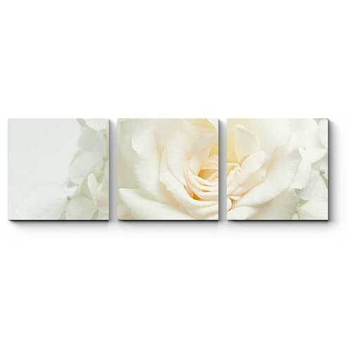 Модульная картина Белоснежная роза 120x40