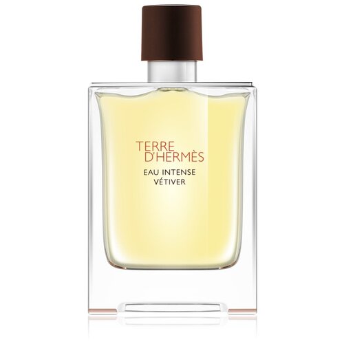 Hermes парфюмерная вода Terre d'Hermes Eau Intense Vetiver, 100 мл, 100 г