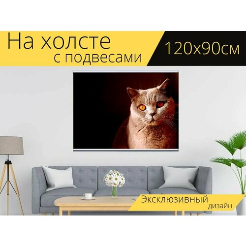 Картина на холсте "Кот, красивая, домашнее животное" с подвесами 120х90 см. для интерьера