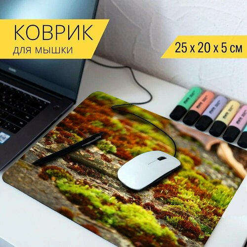 Коврик для мыши с принтом "Мох, лишайник, каменная стена" 25x20см.