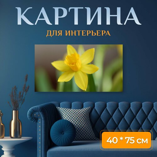 Картина на холсте "Нарцисс, весна, жёлтый" на подрамнике 75х40 см. для интерьера