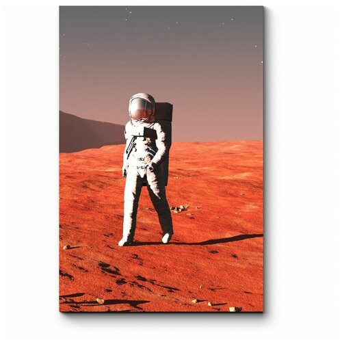 Модульная картина Прогулка по Марсу 40x60