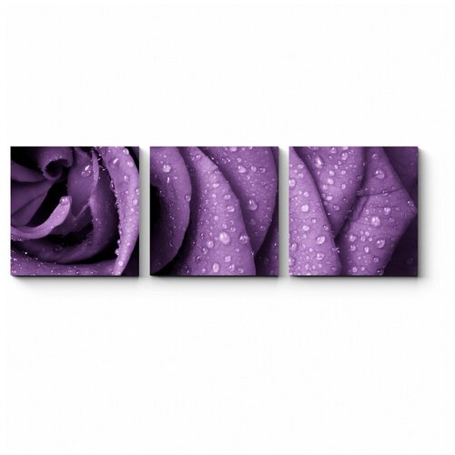Модульная картина Фиолетовая роза 120x40