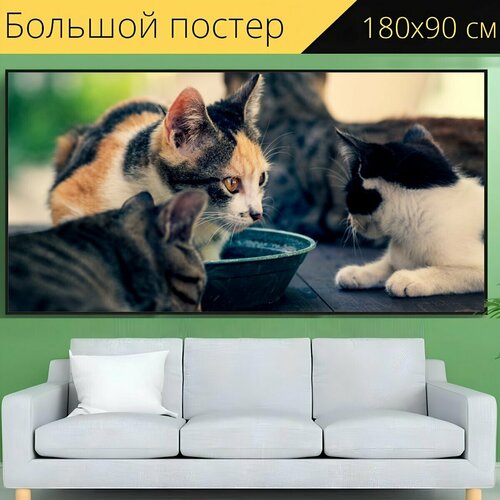 Большой постер "Кошка, кошачий, тигр" 180 x 90 см. для интерьера