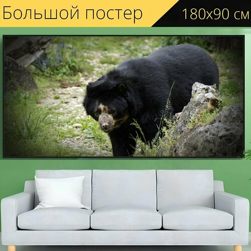Большой постер "Черный медведь, животное, дикая природа" 180 x 90 см. для интерьера