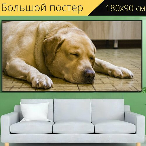 Большой постер "Собака, спать, милая" 180 x 90 см. для интерьера