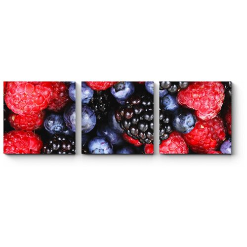 Модульная картина Сладкие ягоды 120x40
