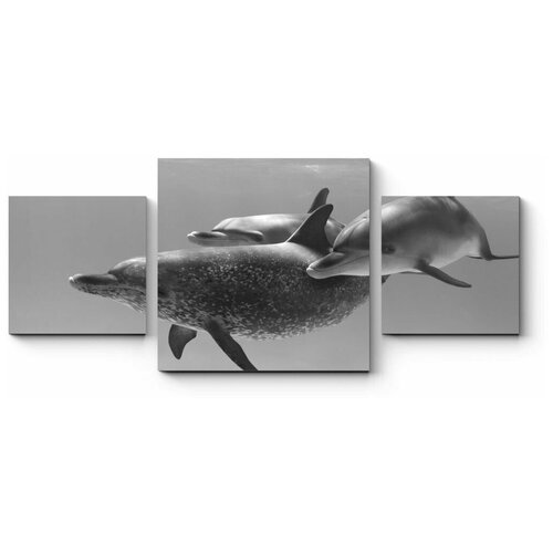 Модульная картина Трио пятнистых дельфинов160x69