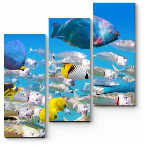 Модульная картина Разноцветные жители океана 90x96