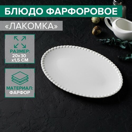 Блюдо фарфоровое овальное Magistro «Лакомка», 30×20 см