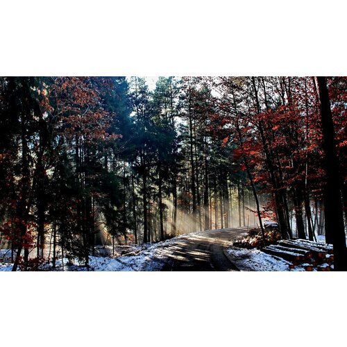 Картина на холсте 60x110 LinxOne "Природа свет дорога зима лес" интерьерная для дома / на стену / на кухню / с подрамником