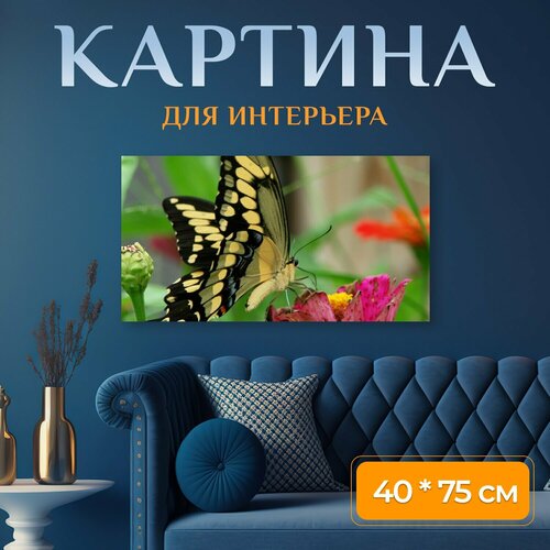 Картина на холсте "Ласточкин хвост, бабочка, цинния" на подрамнике 75х40 см. для интерьера