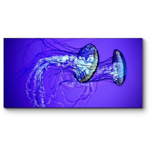 Модульная картина Пара изящных медуз60x30