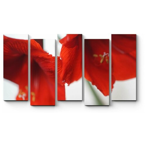 Модульная картина Красные цветы200x116