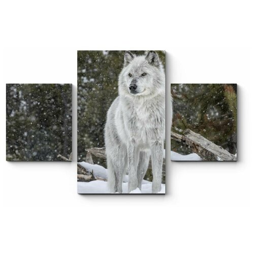 Модульная картина Серый волк 110x72