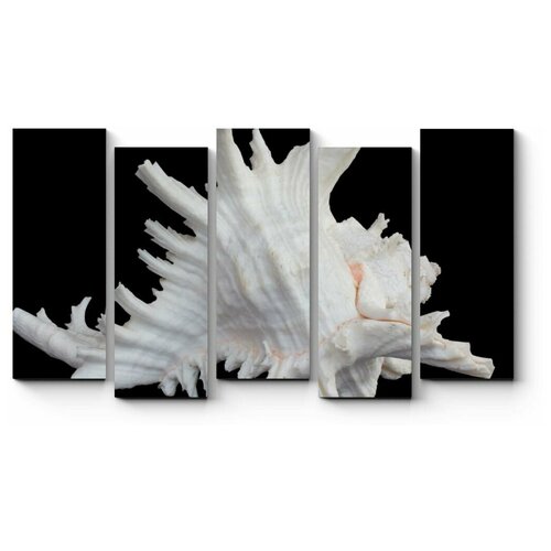 Модульная картина Морская раковина210x121
