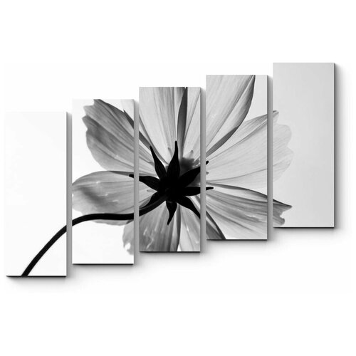 Модульная картина Монохромный цветок 160x112