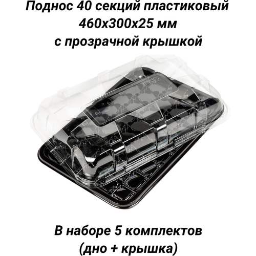Поднос (блюдо) PLATTER 40 секций, 460х300х25 мм, с прозрачной крышкой (для закусок, сервировки, фуршета, кейтеринга), PET (ПЭТ) пластик, 5 шт.