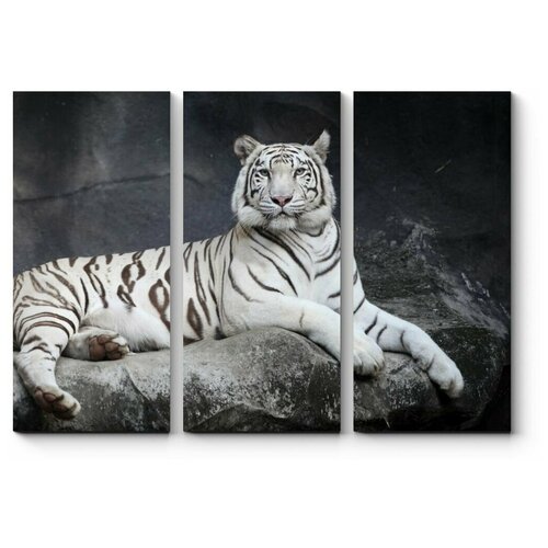 Модульная картина Величественный белый тигр 120x86