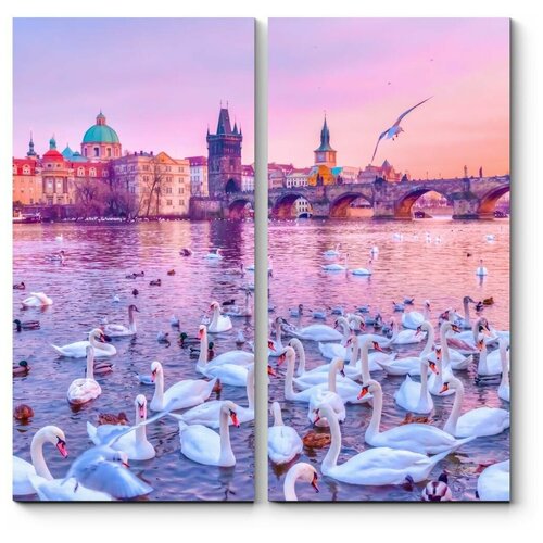 Модульная картина Лебеди на Влтаве, Прага 40x40