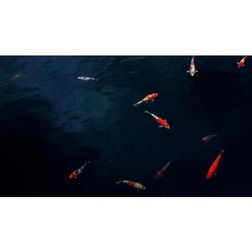 Картина на холсте 110x60 LinxOne "Темные Вода Рыбы Темный Аквариум" интерьерная для дома / на стену / на кухню / с подрамником