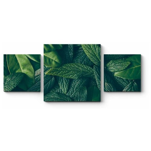 Модульная картина Зеленые сочные листья110x47