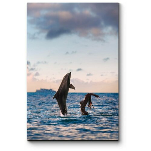 Модульная картина Купание с дельфинами20x30
