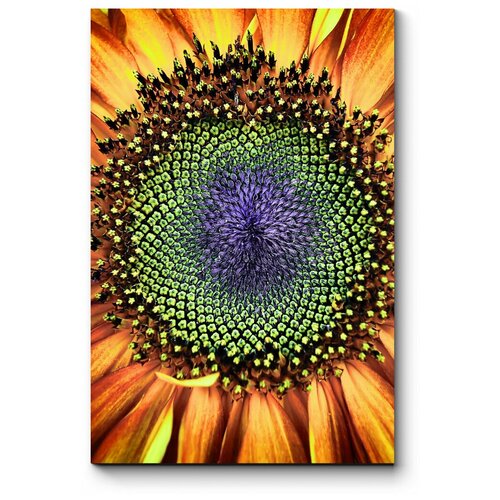 Модульная картина Внутри цветка солнца 20x30