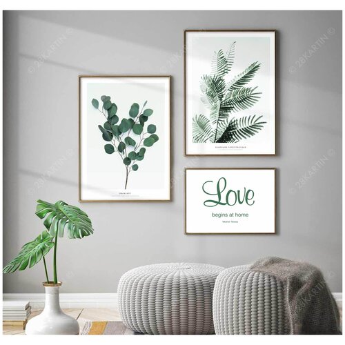 3 Картины постера без рамы на стену "Растения рисунок" декор для интерьера / Набор картин ботаника в подарочном тубусе