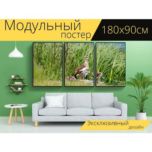 Модульный постер "Египетские гуси, гусят, птицы" 180 x 90 см. для интерьера