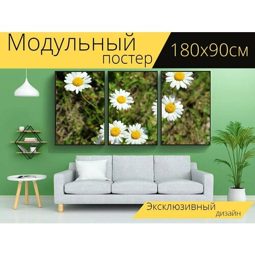 Модульный постер "Margaretki, ромашки, цветок" 180 x 90 см. для интерьера