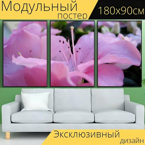 Модульный постер "Цветы, лепестки, розовый" 180 x 90 см. для интерьера