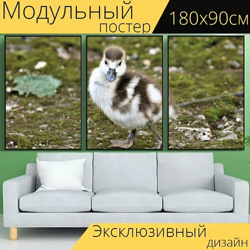 Модульный постер "Животное, нильский гусь, птица" 180 x 90 см. для интерьера