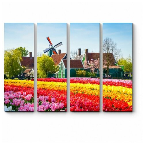 Модульная картина Тюльпановое поле, Амстердам 110x83
