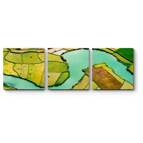 Модульная картина Рисовые поля Вьетнама 200x67