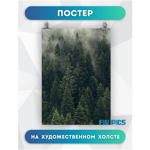 Постер на холсте Природа пейзаж лес (7) 50х70 см