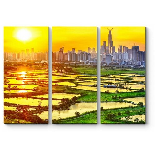 Модульная картина Рисовые поля Гонконга110x79