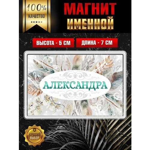 Магнит на холодильник с именем Александра