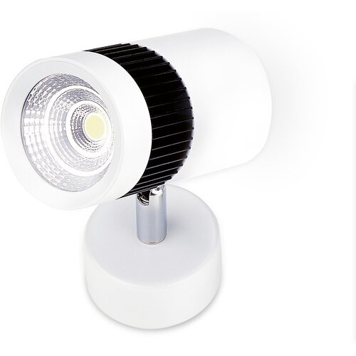 Светильники на потолок Ambrella light TN101/10W WH/BK Techno Led