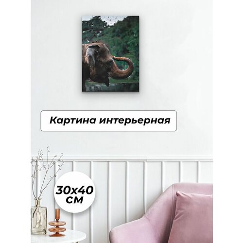 Картины для интерьера 30х40 Слон Природа